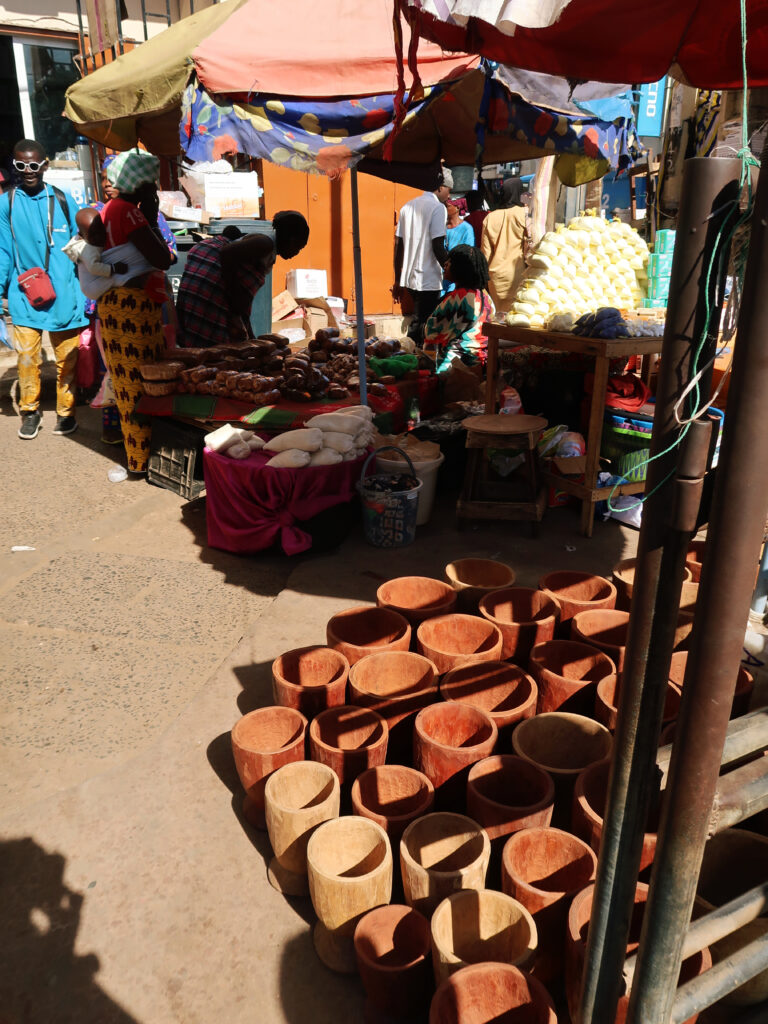 Everything You Need To Know About Visiting The Gambia - Happy-Go-Lica